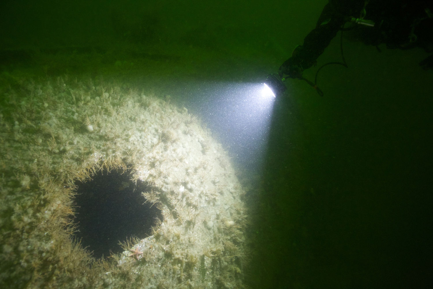 Dr. Florian Huber | U-Boot UC 71 vor Helgoland