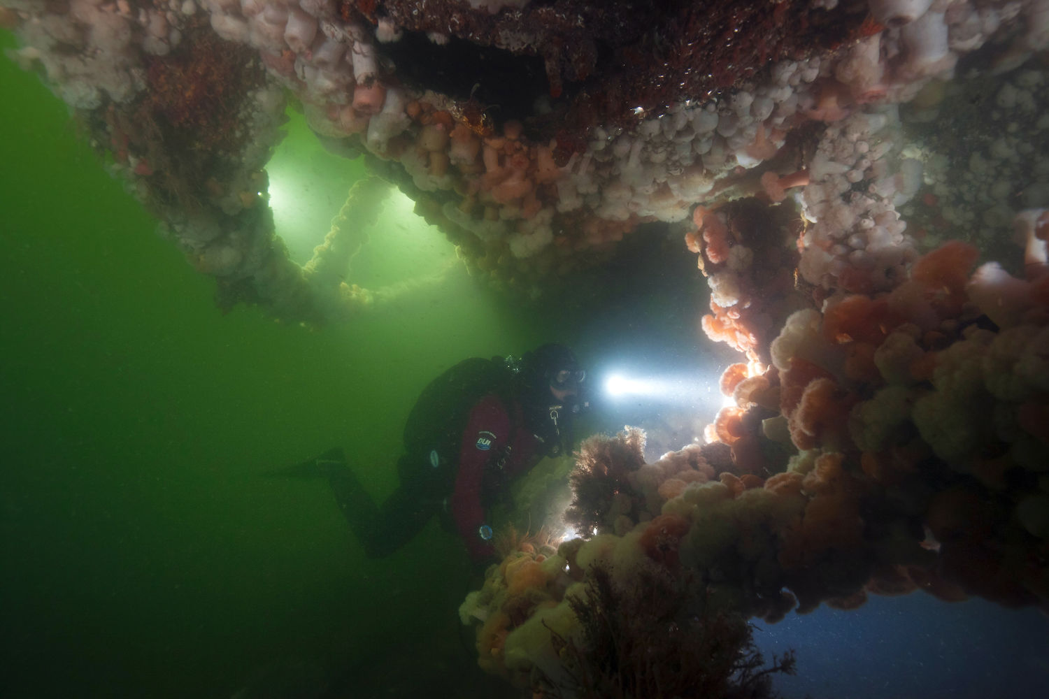 Dr. Florian Huber | U-Boot UC 71 vor Helgoland